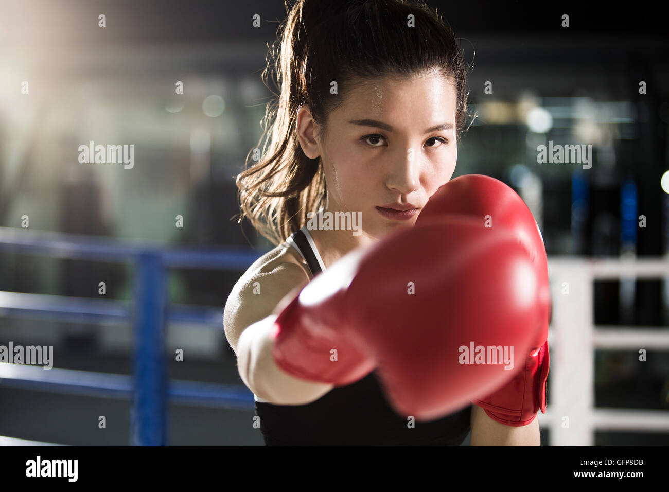 Portrait of female Chinese boxer Stock Photo - Alamy