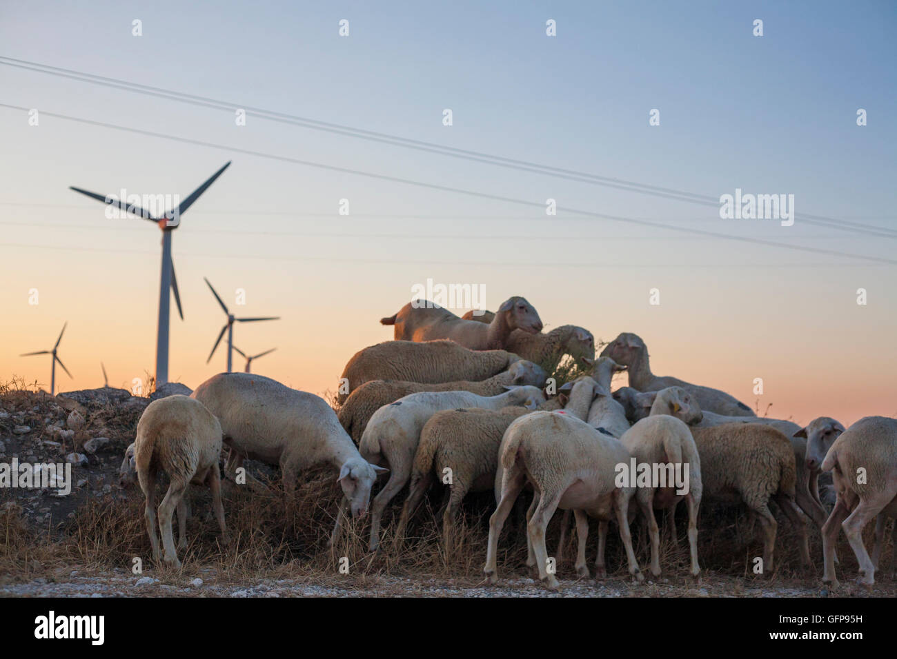 Wind erosion farm hi-res stock photography and images - Alamy