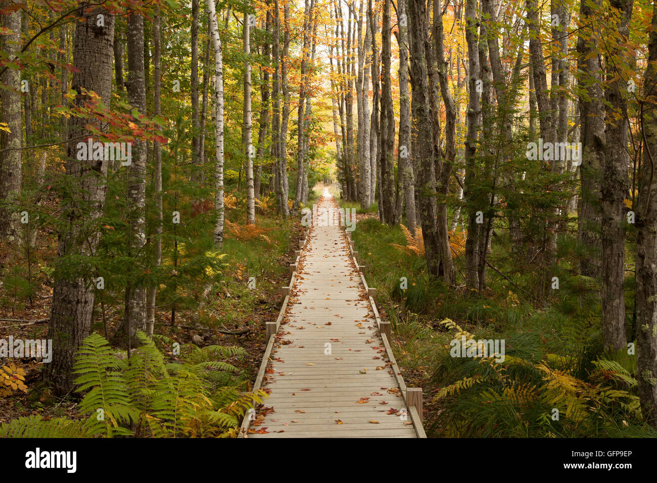 Ending path hi-res stock photography and images - Alamy