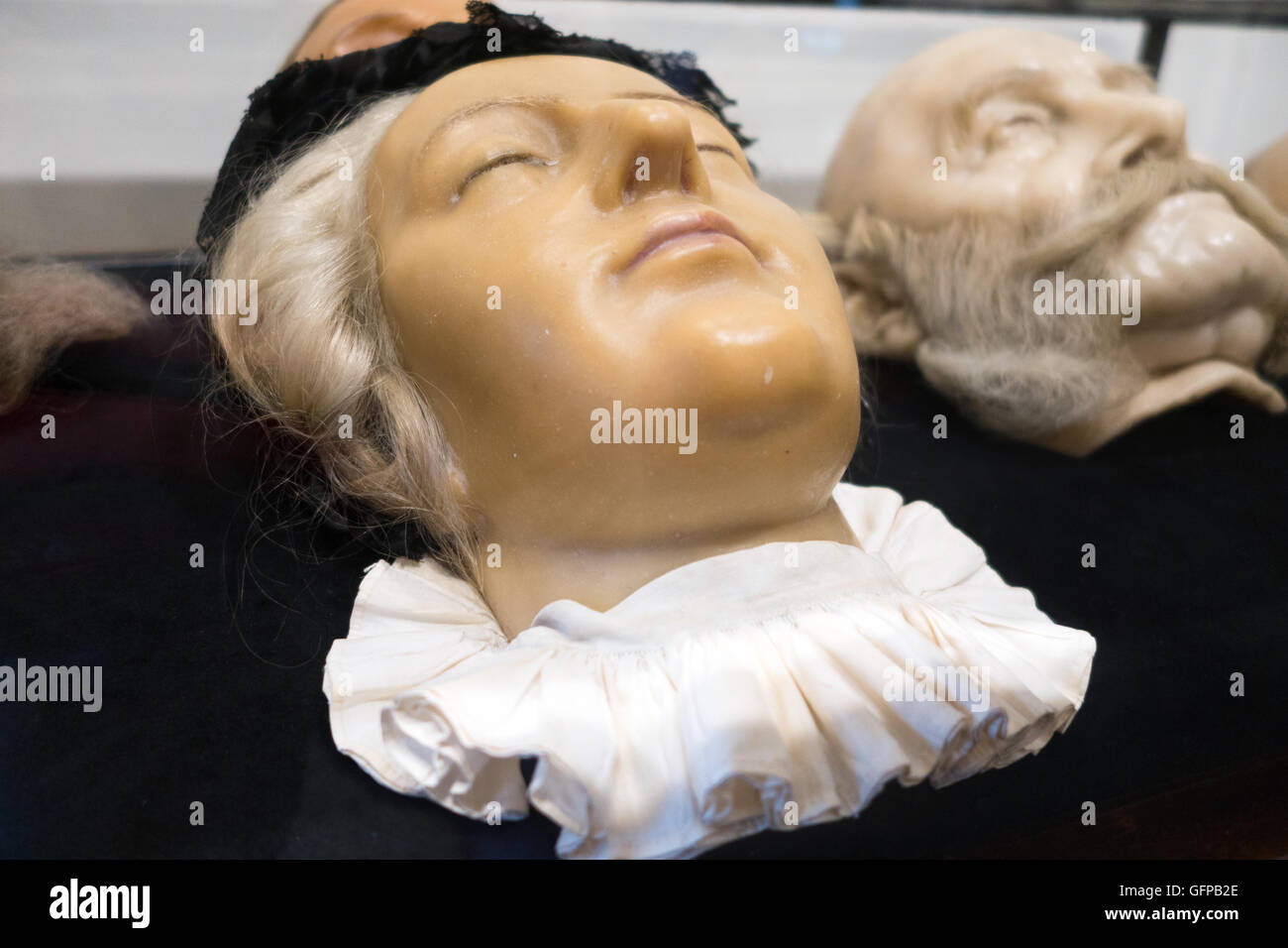 Objects on display at the Morbid Anatomy Museum in Brooklyn, NY ...