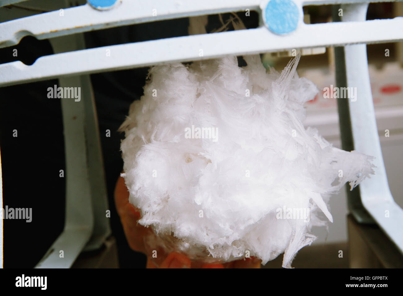 Part shaved hi-res stock photography and images - Alamy