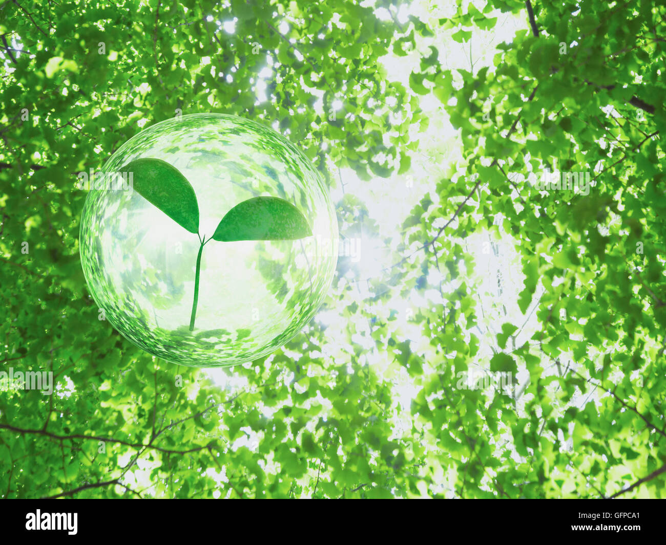 Ecology image hi-res stock photography and images - Alamy
