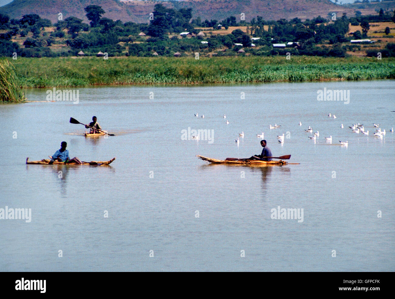 Young boys fishing from papyrus reed boats on the Blue Nile River near ...
