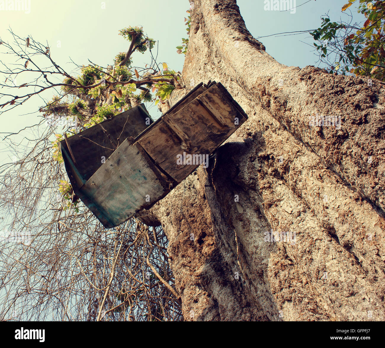 Amazing view with old mailbox hang overhead on large tree trunk in ...