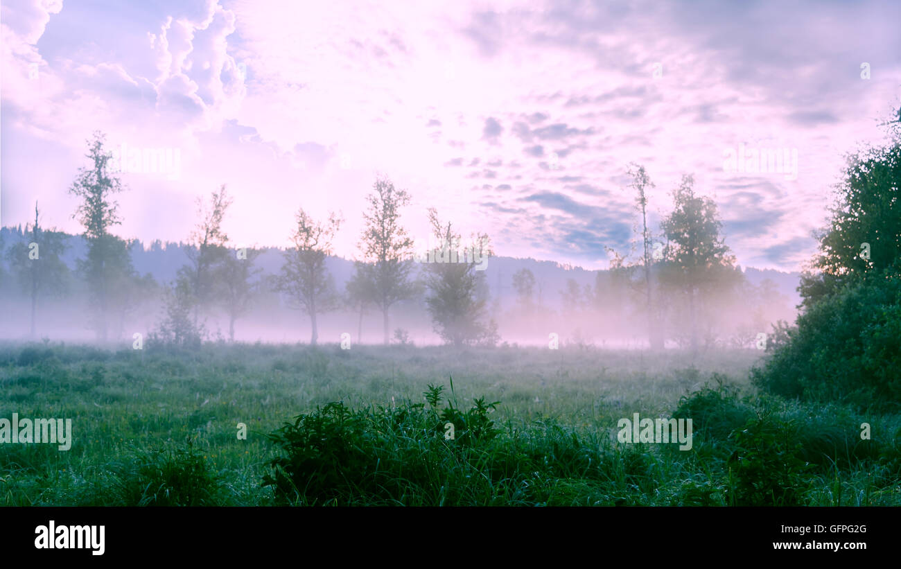 Beautiful summer nature scenery hi-res stock photography and images - Alamy