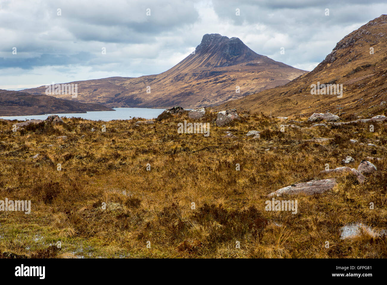 A view across the Northern Highlands of Scotland Stock Photo - Alamy