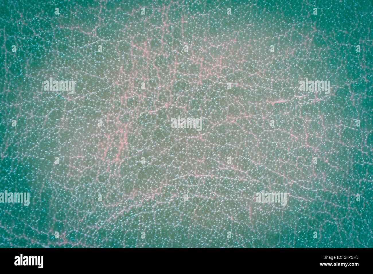 Abstract indigo blue leather closeup texture background surface Stock ...