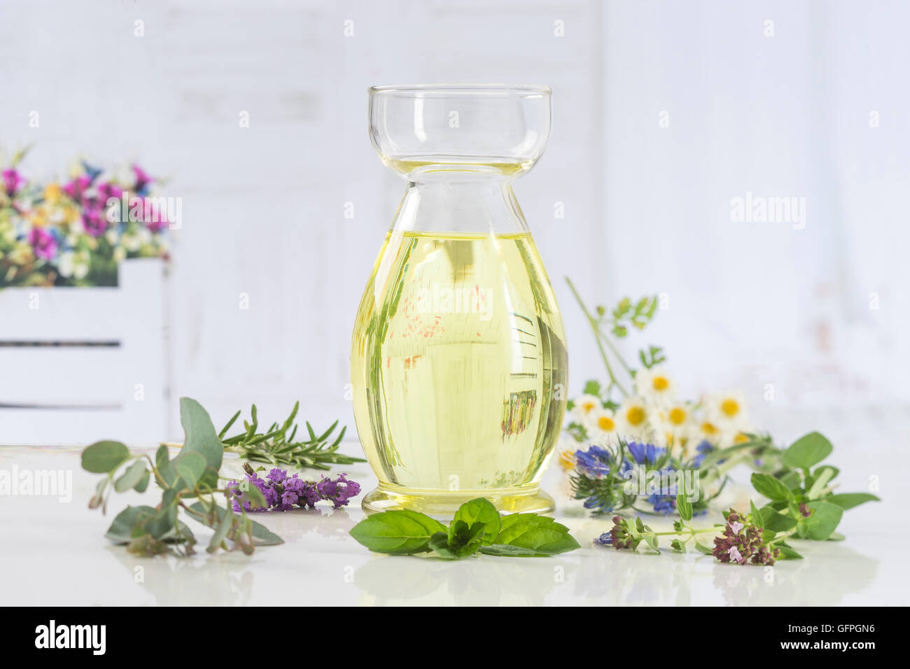 Aromatherapy Fresh green plant and flowers botle of essential oil Stock ...