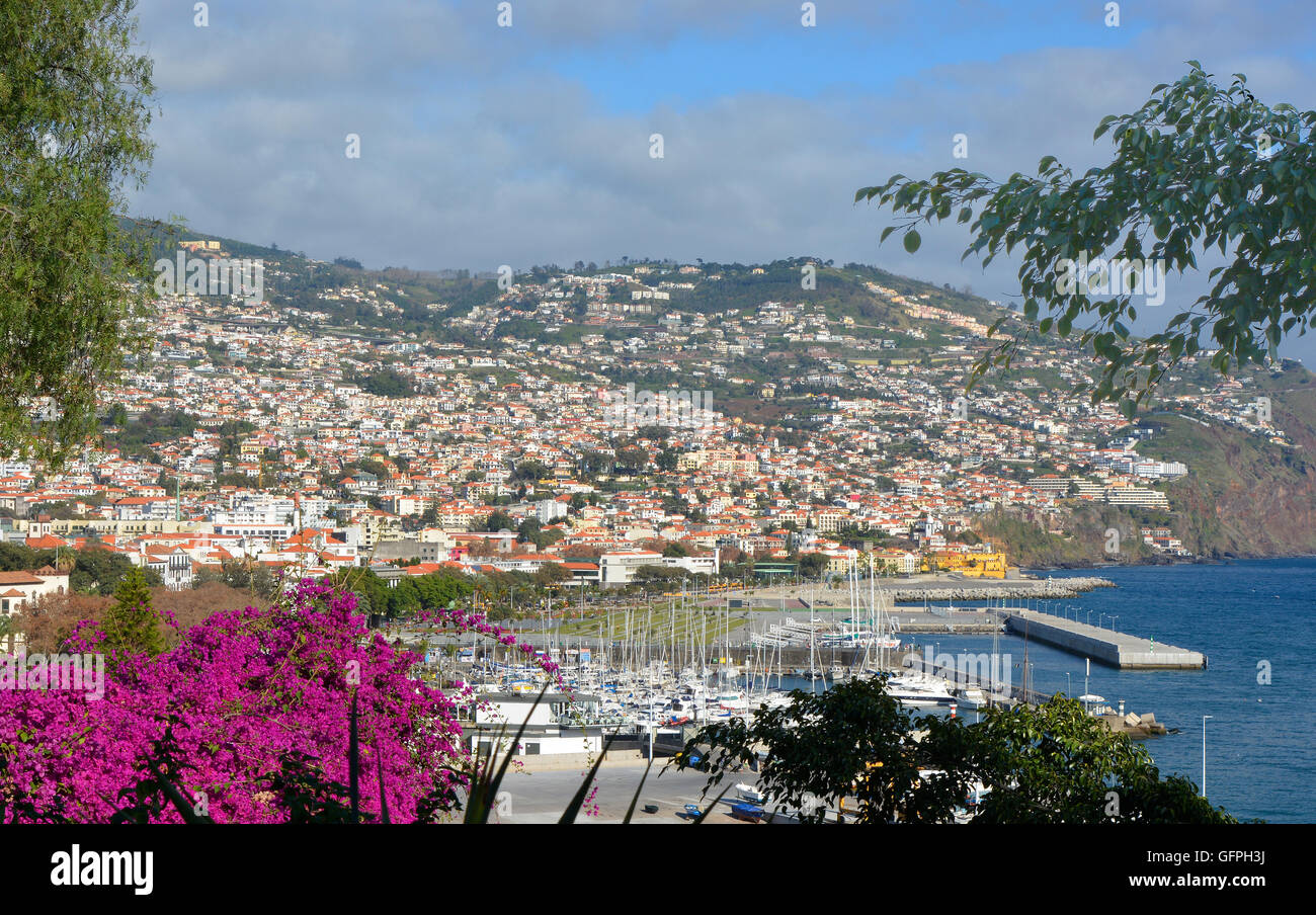 Funchal harbour view hi-res stock photography and images - Alamy