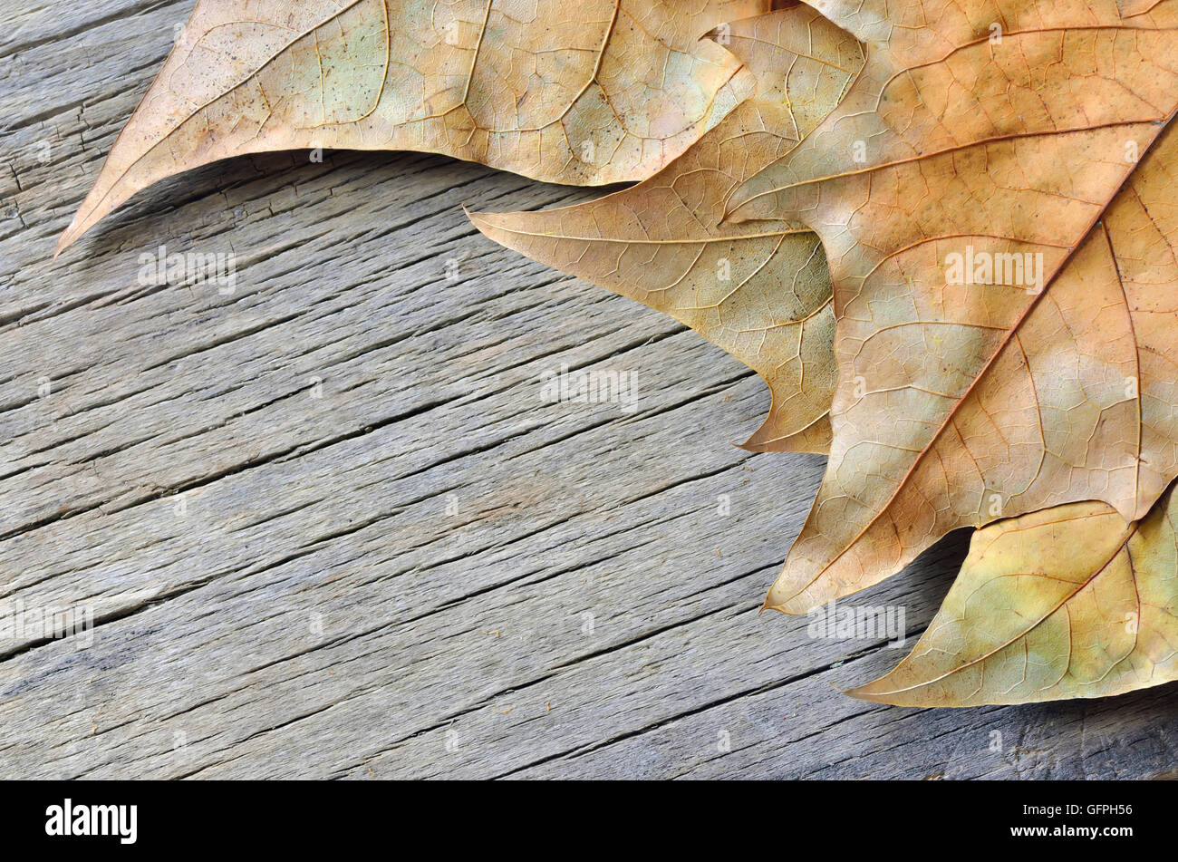 Autumn leaves on brown wooden table Stock Photo - Alamy