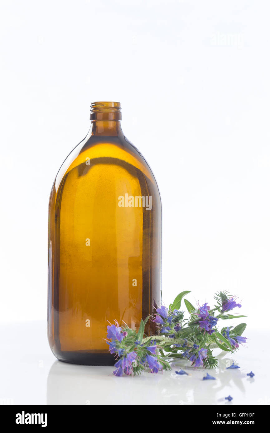 Borage oil Borago Officinalis Stock Photo - Alamy