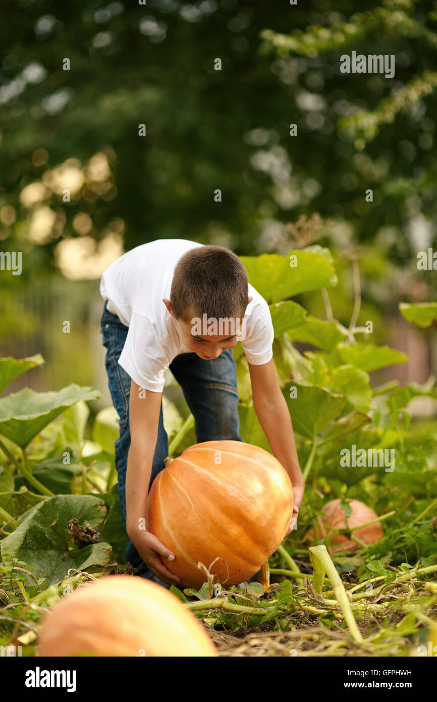 little funny boy with pumpkin Stock Photo - Alamy