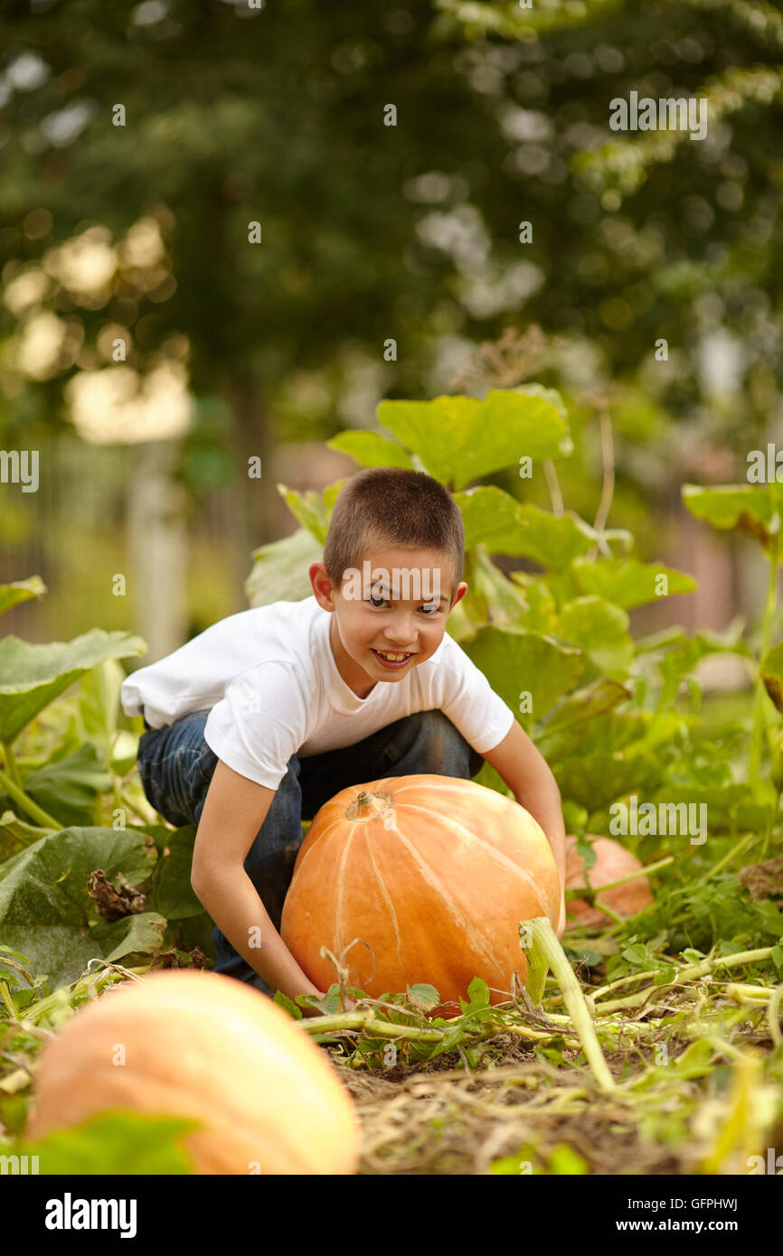 Child holding yellow squash hi-res stock photography and images - Alamy