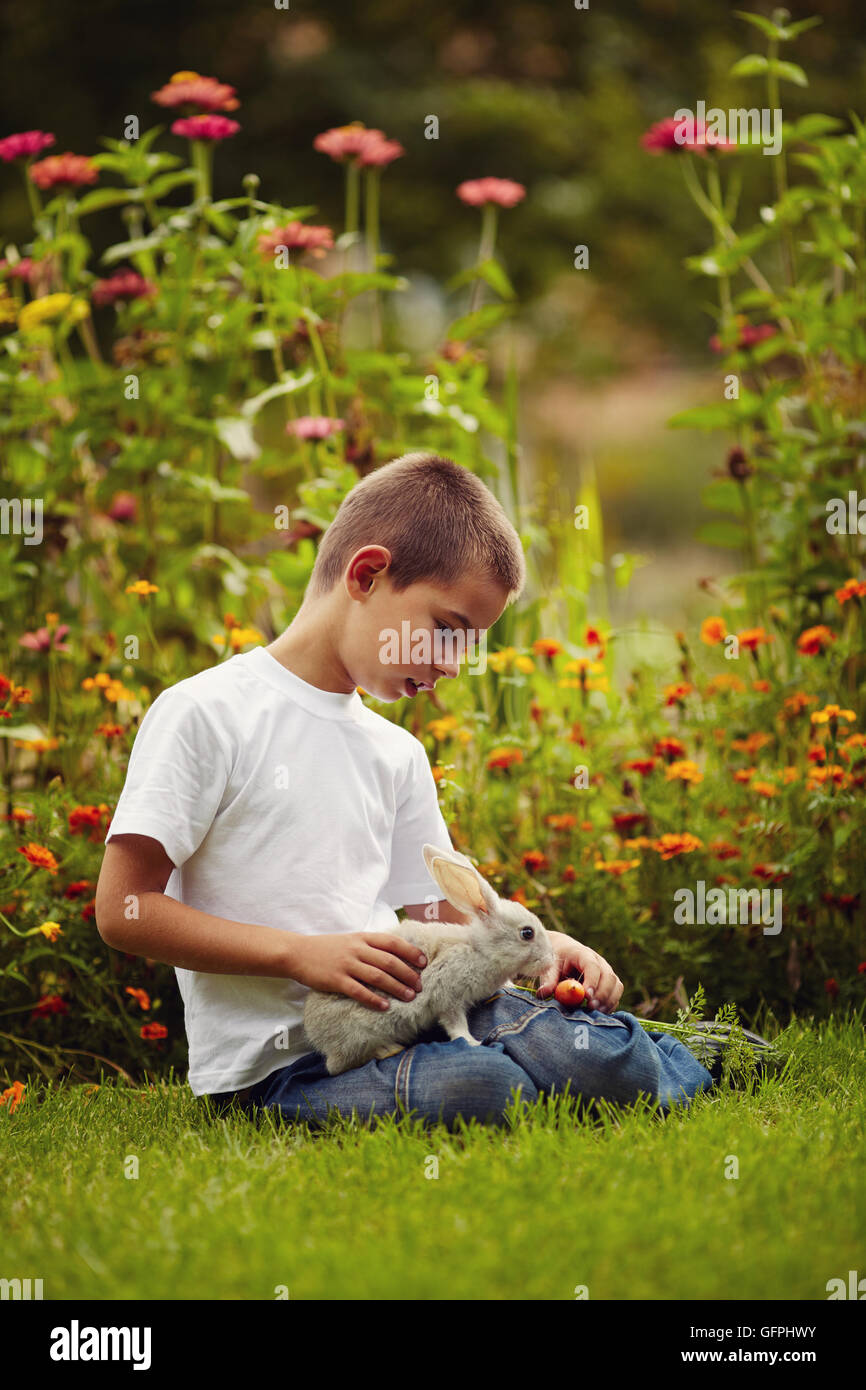 little boy with rabbit Stock Photo - Alamy