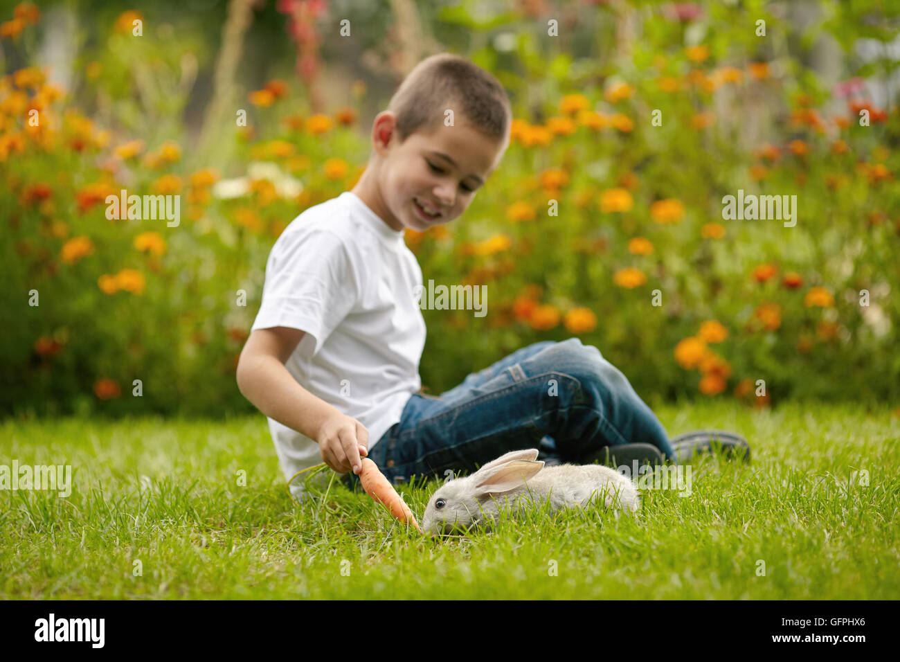 little boy with rabbit Stock Photo - Alamy