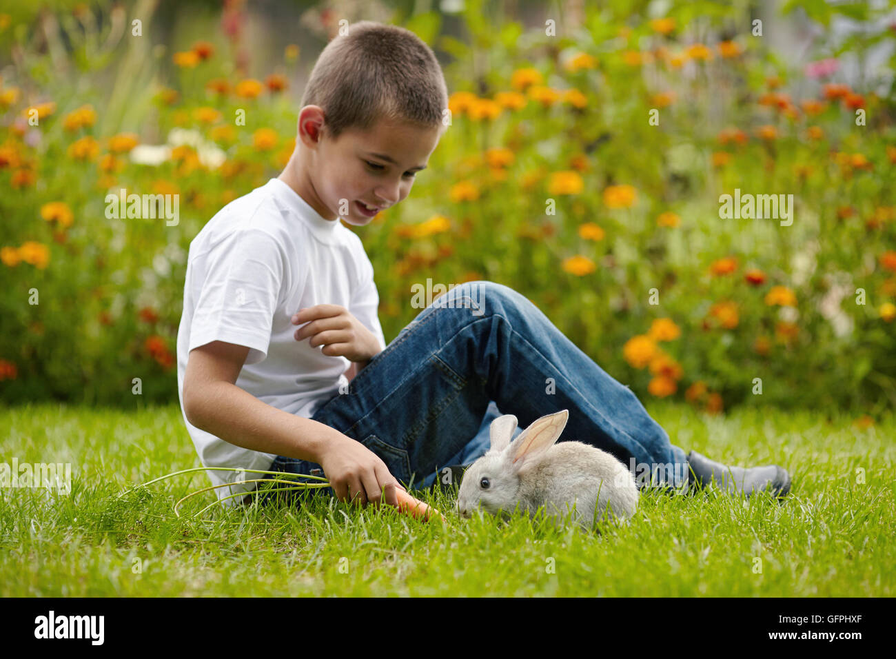 little boy with rabbit Stock Photo - Alamy