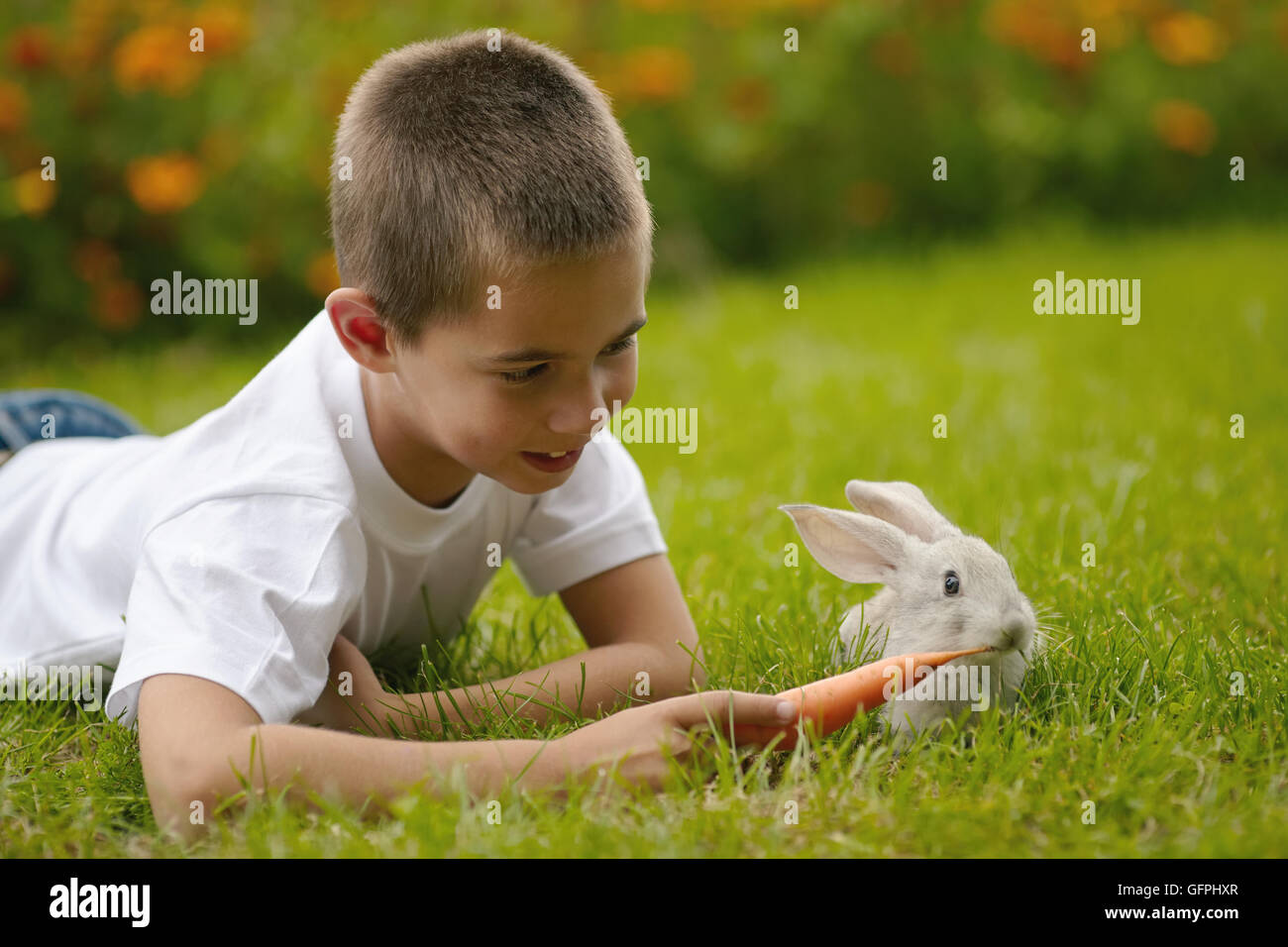 little boy with rabbit Stock Photo - Alamy