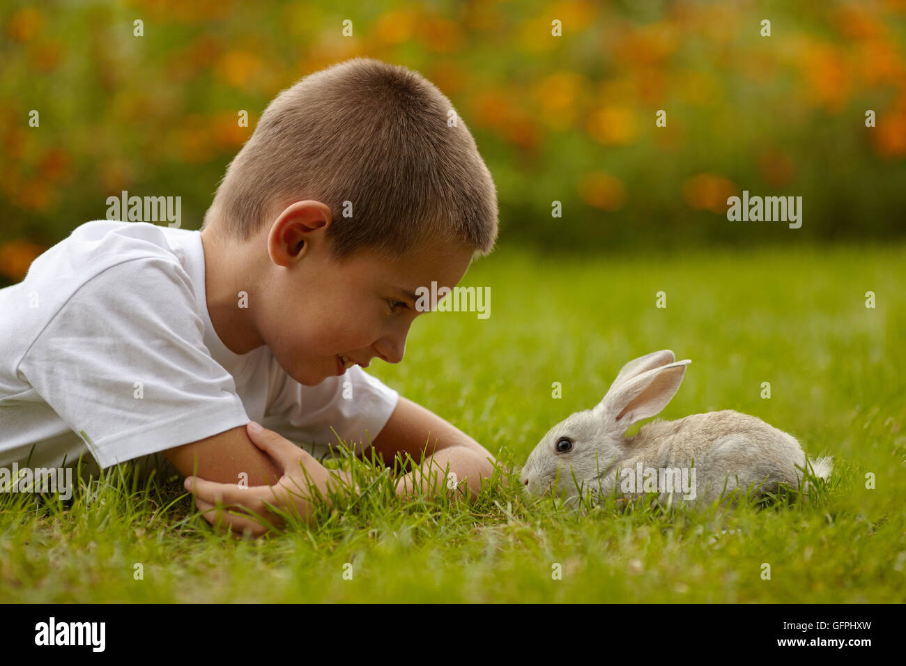 little boy with rabbit Stock Photo - Alamy