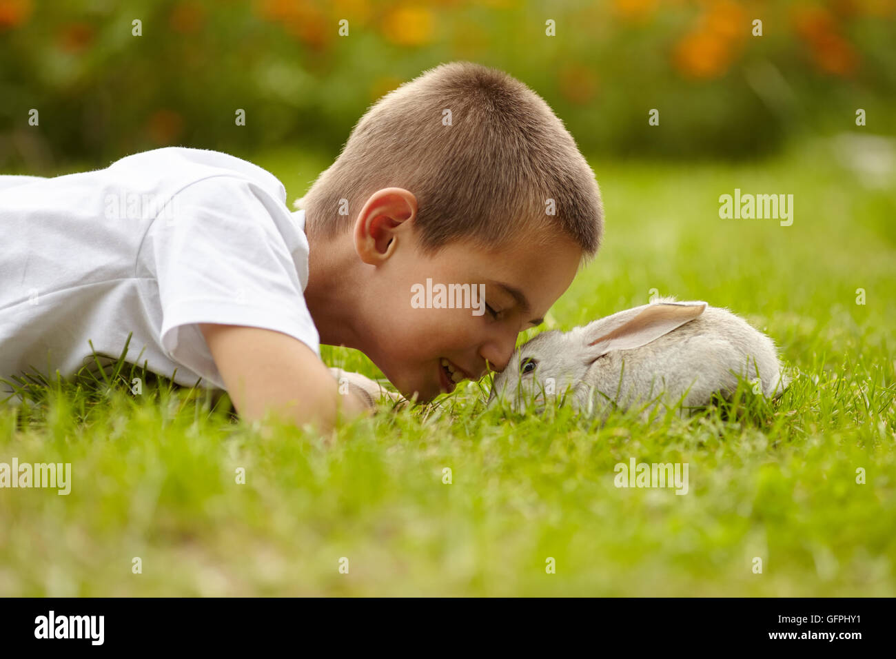 little boy with rabbit Stock Photo - Alamy
