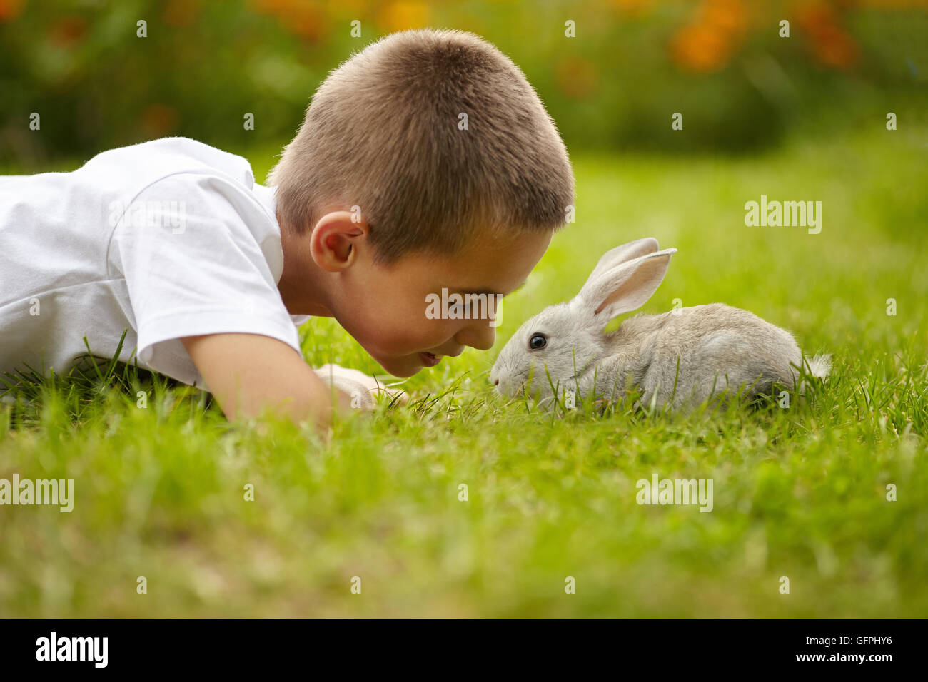 little boy with rabbit Stock Photo - Alamy