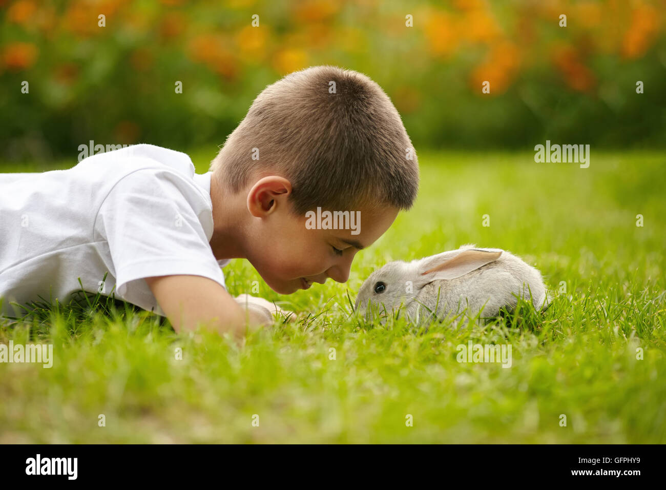little boy with rabbit Stock Photo - Alamy