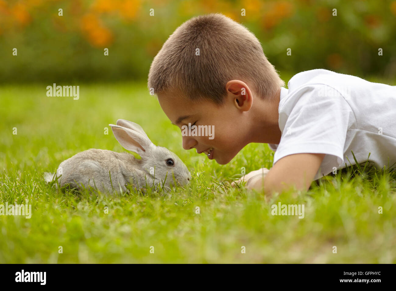 little boy with rabbit Stock Photo - Alamy