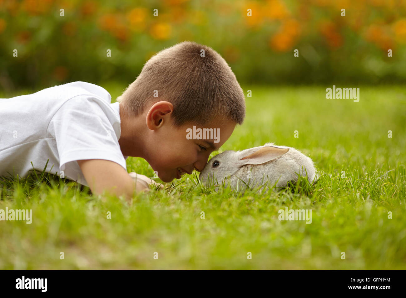 little boy with rabbit Stock Photo - Alamy