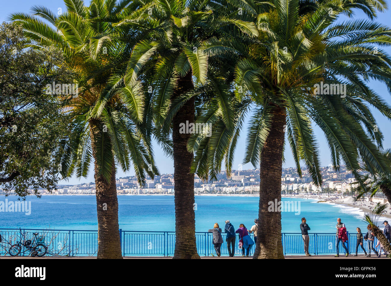 France sea palm trees hi-res stock photography and images - Alamy