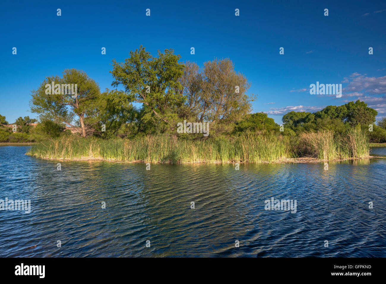 Verde valley arizona horse hi-res stock photography and images - Alamy