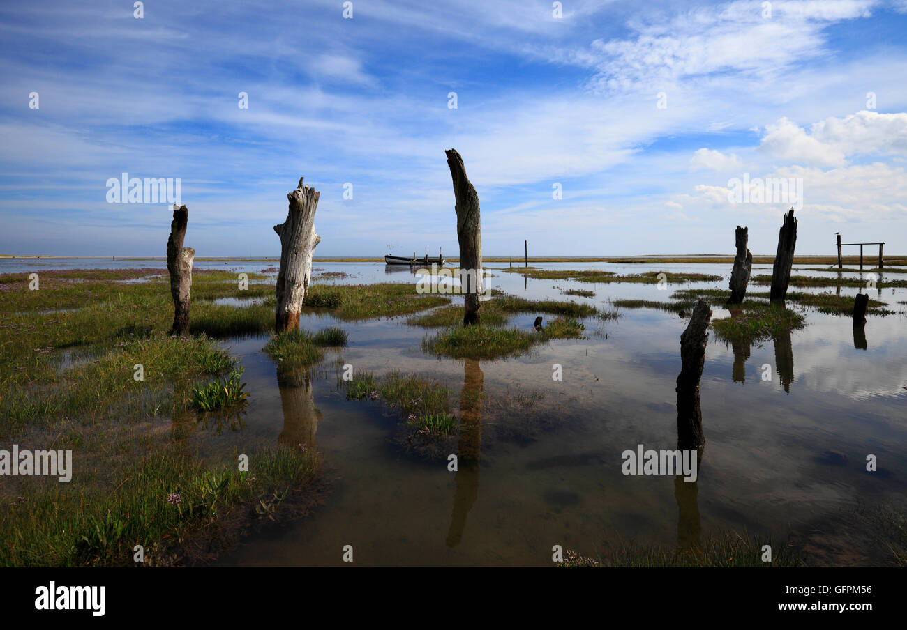 Old wooden posts hi-res stock photography and images - Alamy