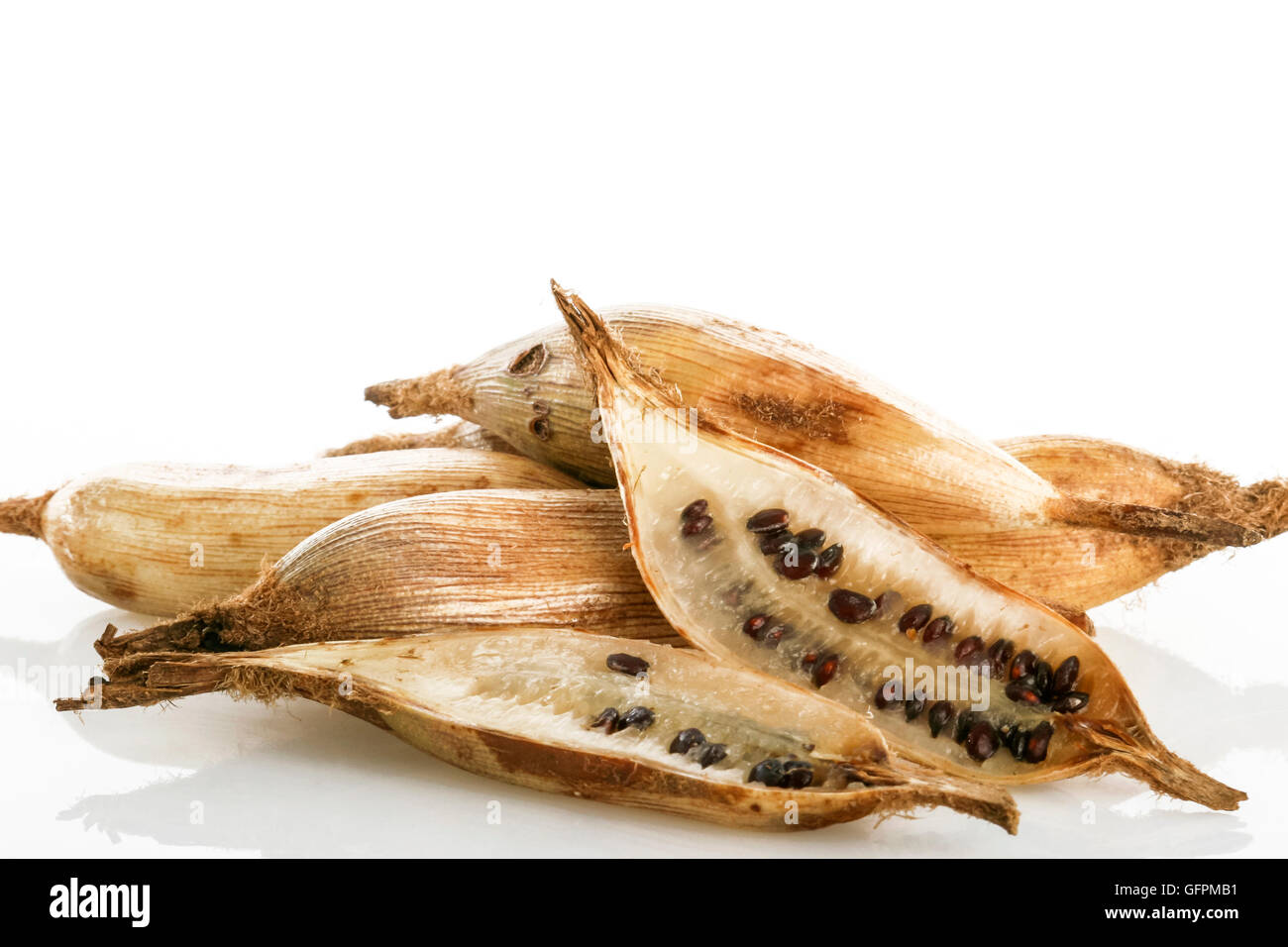 Exotic tropical fruit called piñuela (Bromelia pinguin)isolated in ...