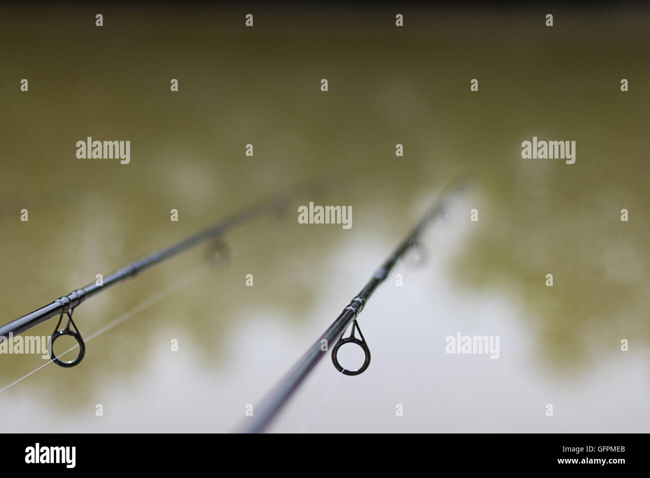 Fishing rods closeup carp hi-res stock photography and images - Alamy