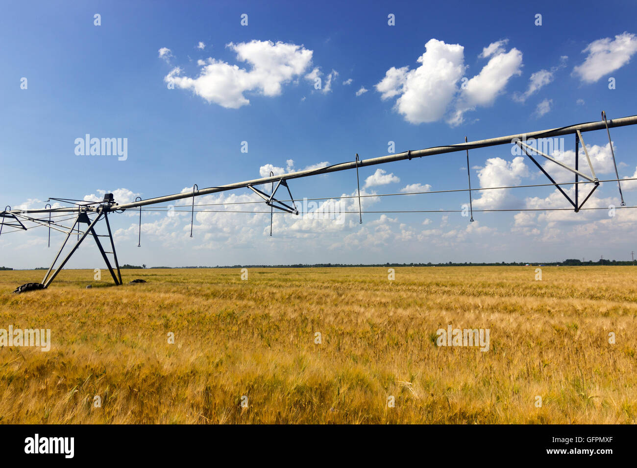 Wheat field and irrigation equipment Sprinkler system crops. Industrial ...