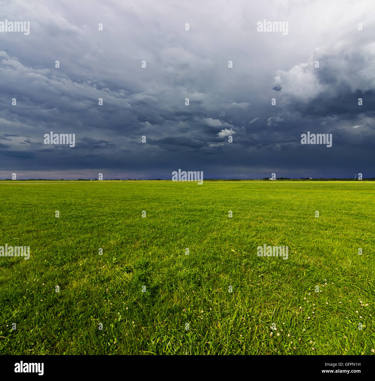 Supercell Storm And Green Grass