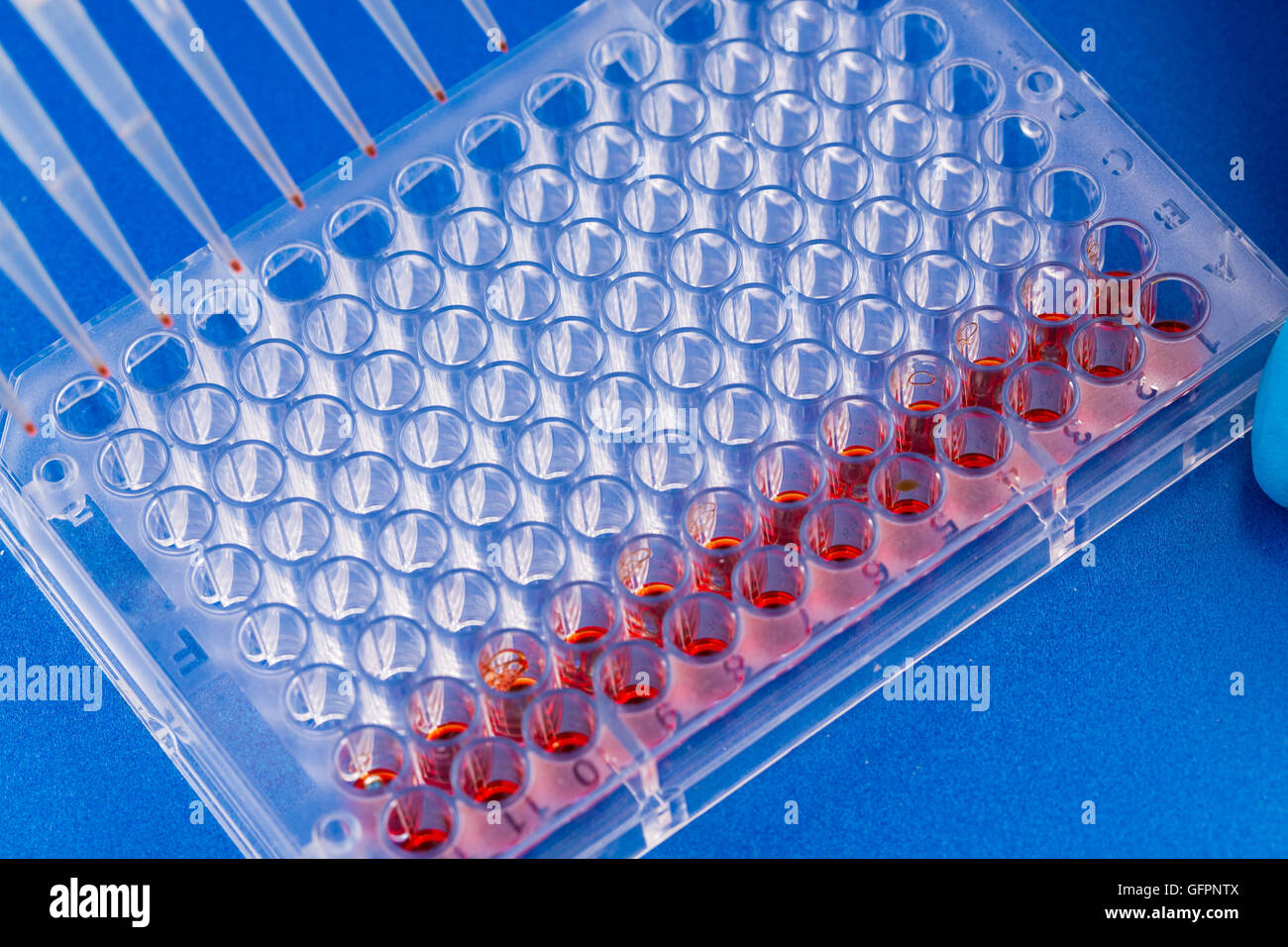 96 well plate hi-res stock photography and images - Alamy