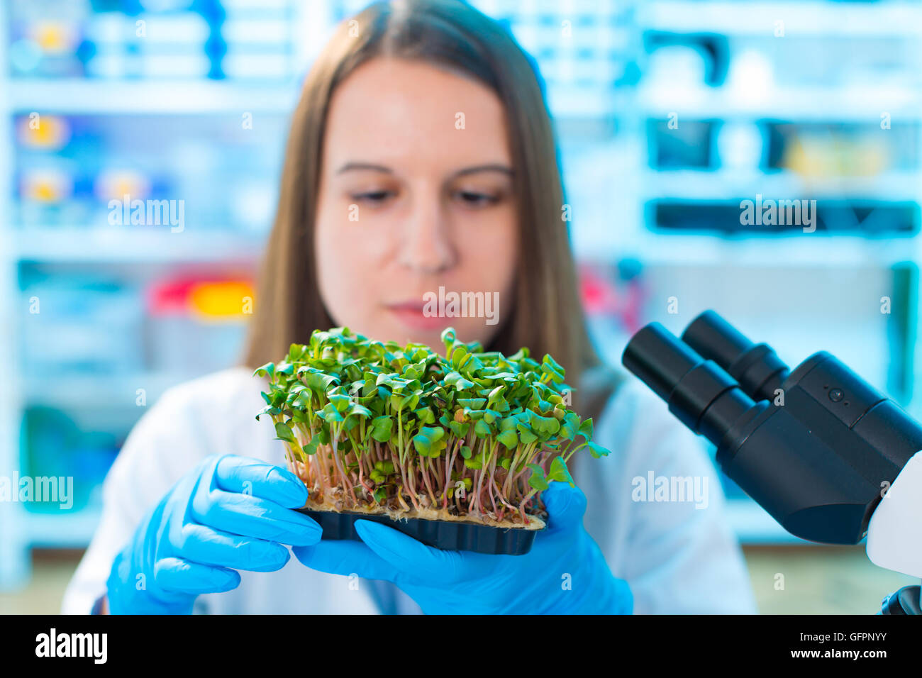 Female biologist, nature hi-res stock photography and images - Alamy