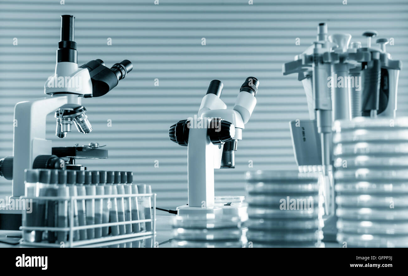 Lab petri dish microscope hi-res stock photography and images - Alamy
