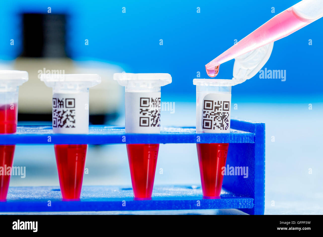 PCR strip test tubes and micropipette in genetics laboratory Stock ...