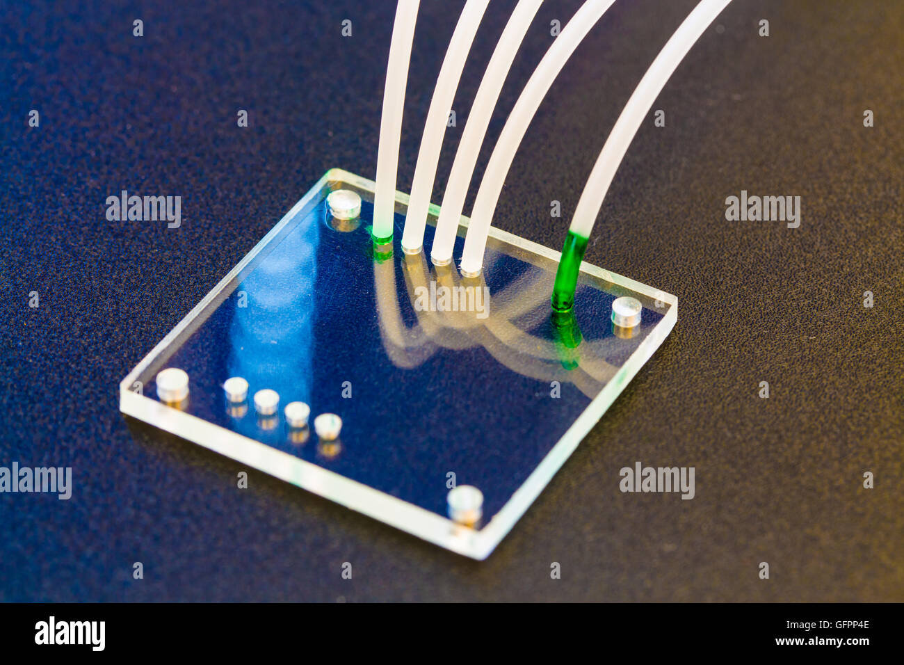 Dna Chip Stock Photos & Dna Chip Stock Images - Alamy