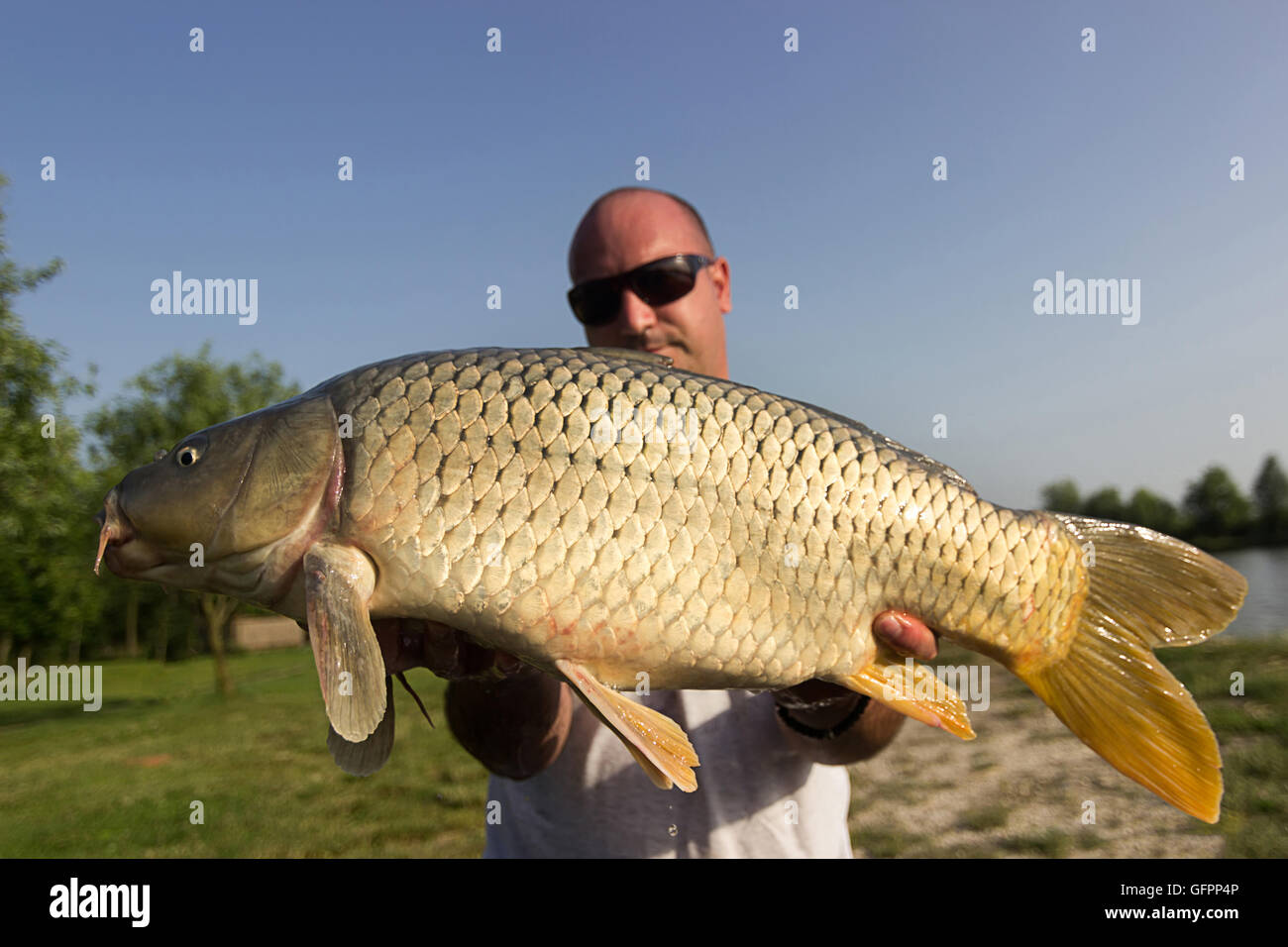 Angler with carp fishing trophy Carp and Fisherman, Carp fishing trophy ...
