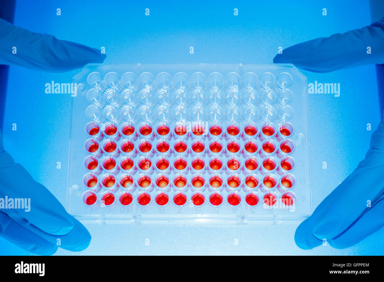 96 well plate hi-res stock photography and images - Alamy