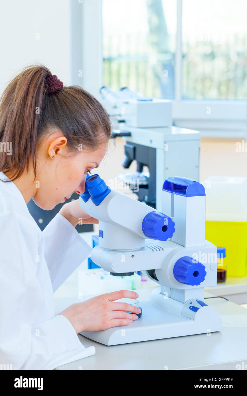 Scientist using a microscope in a laboratory Stock Photo - Alamy