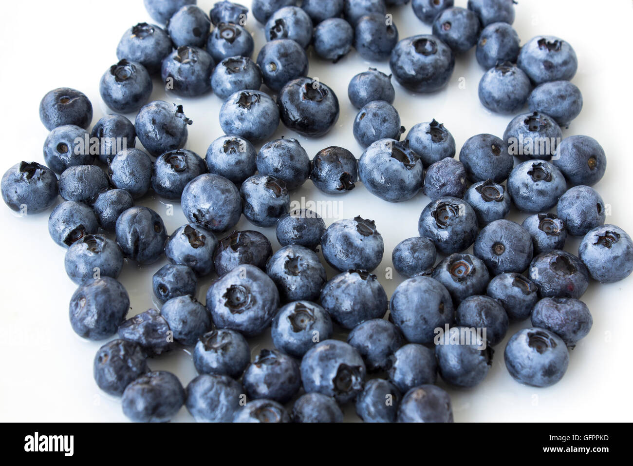 Ripe Blueberries on a White Plate Stock Photo - Alamy