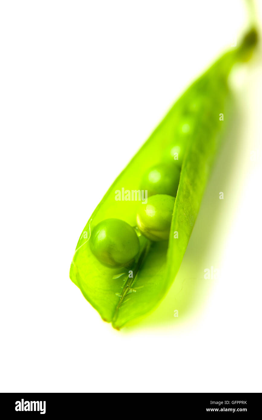 Green over white hi-res stock photography and images - Alamy