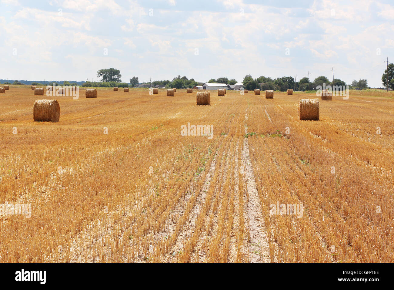 haystacks field sun farm Stock Photo - Alamy