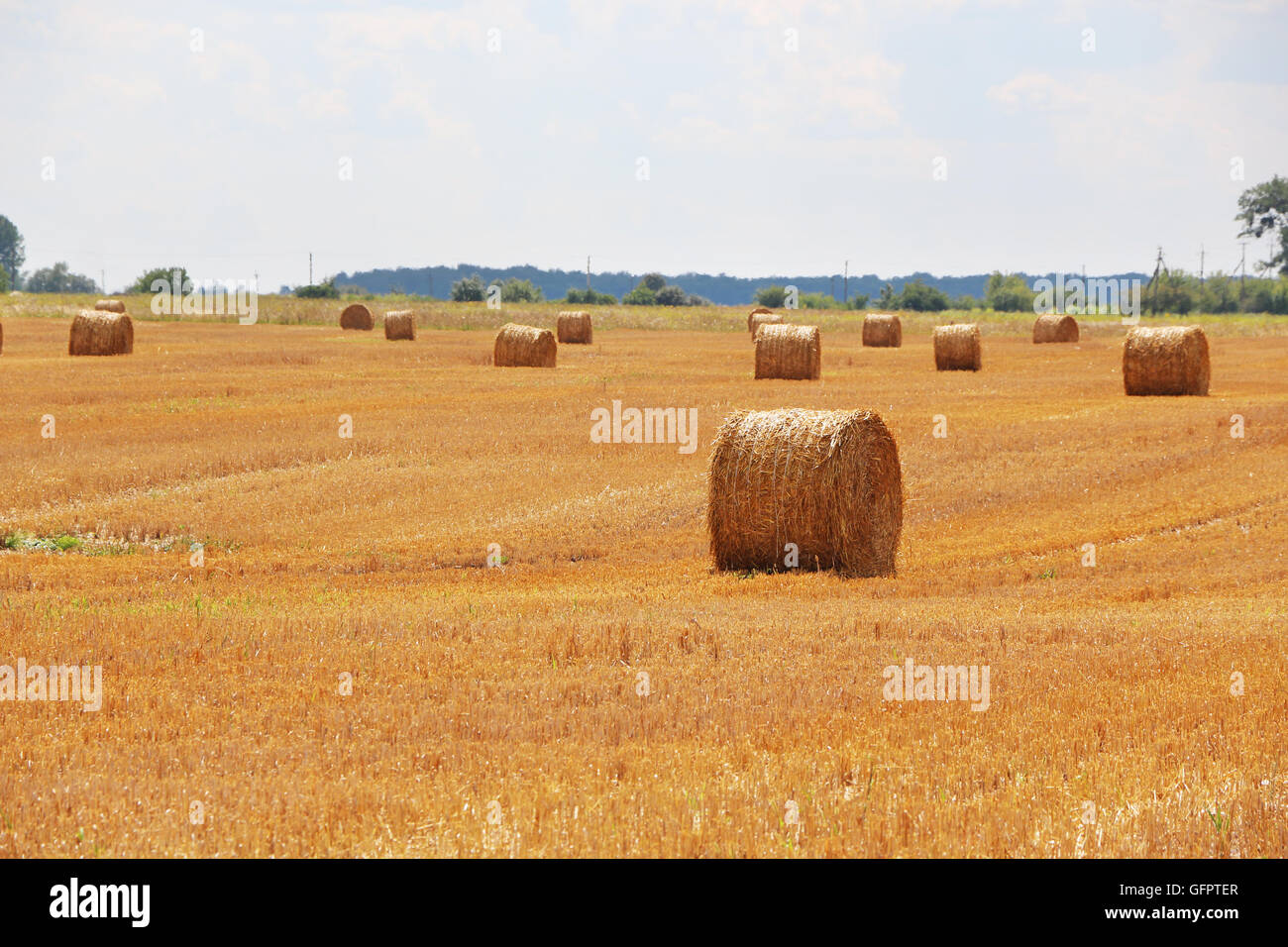 haystacks field sun Stock Photo - Alamy