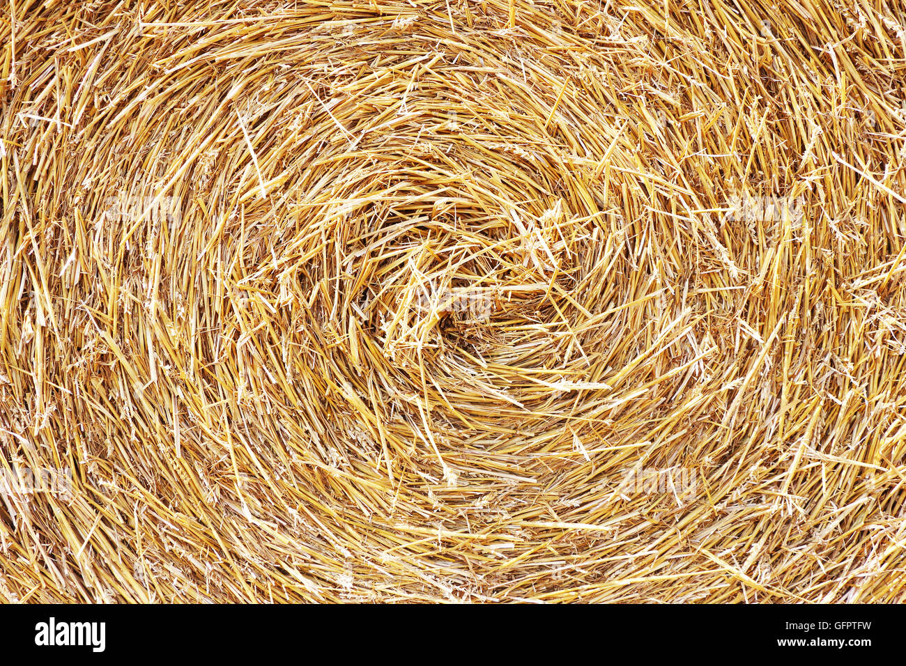 Hay sun hi-res stock photography and images - Alamy