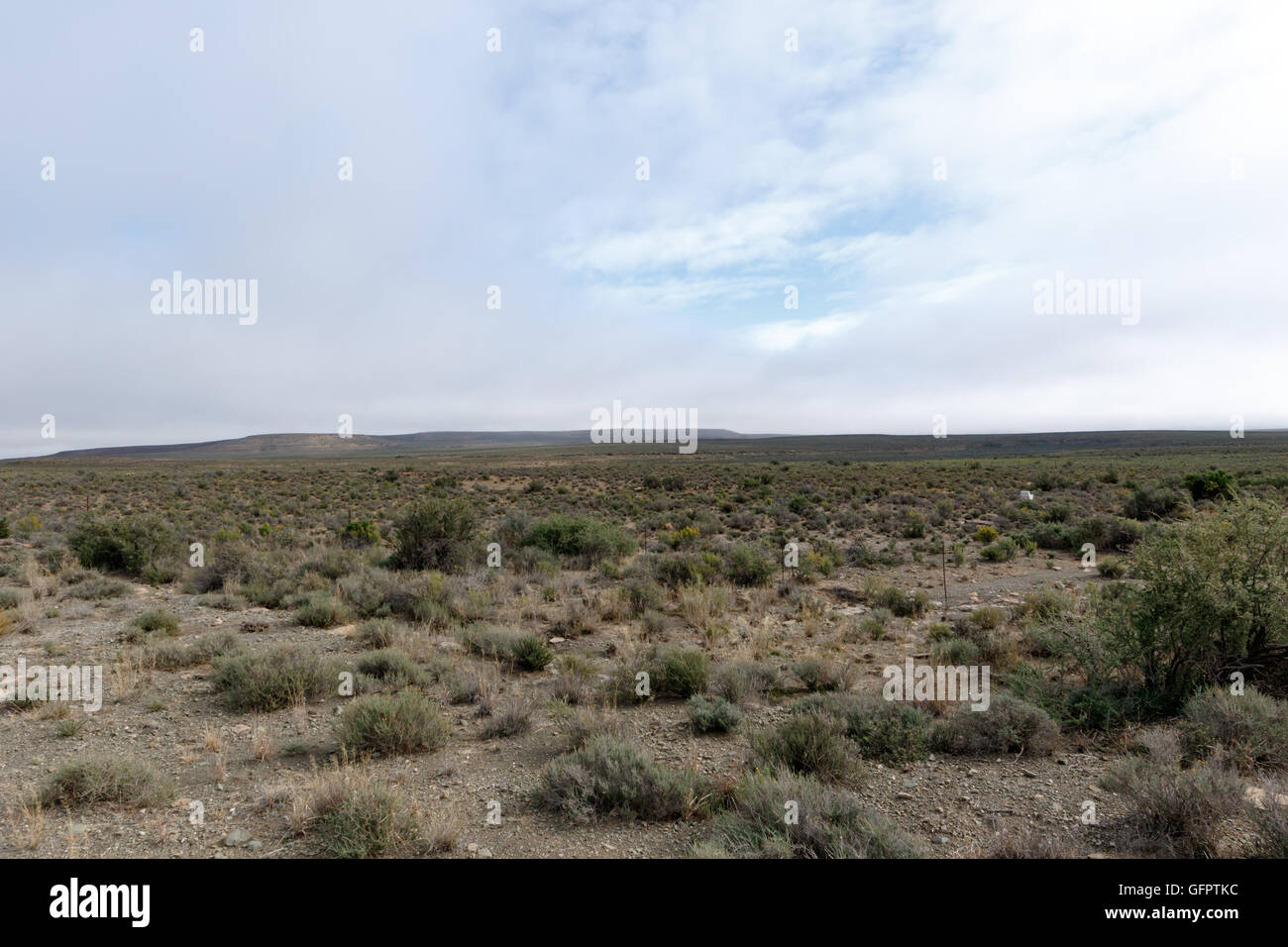 In The Dry Karoo - Fraserburg is a town in the Karoo region of South ...