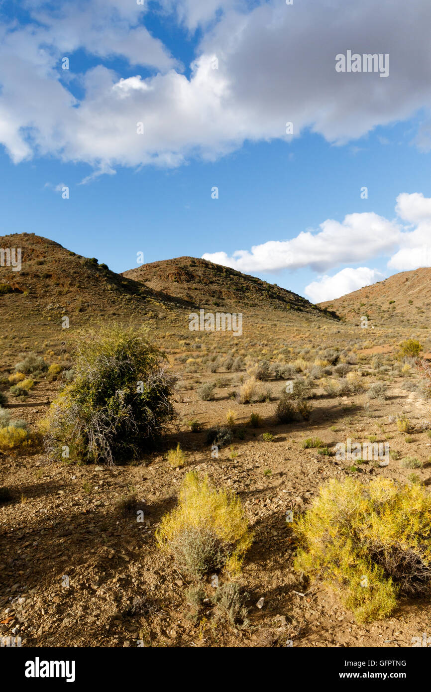 Three Mountains View - Klaarstroom is a village in Prince Albert Local ...