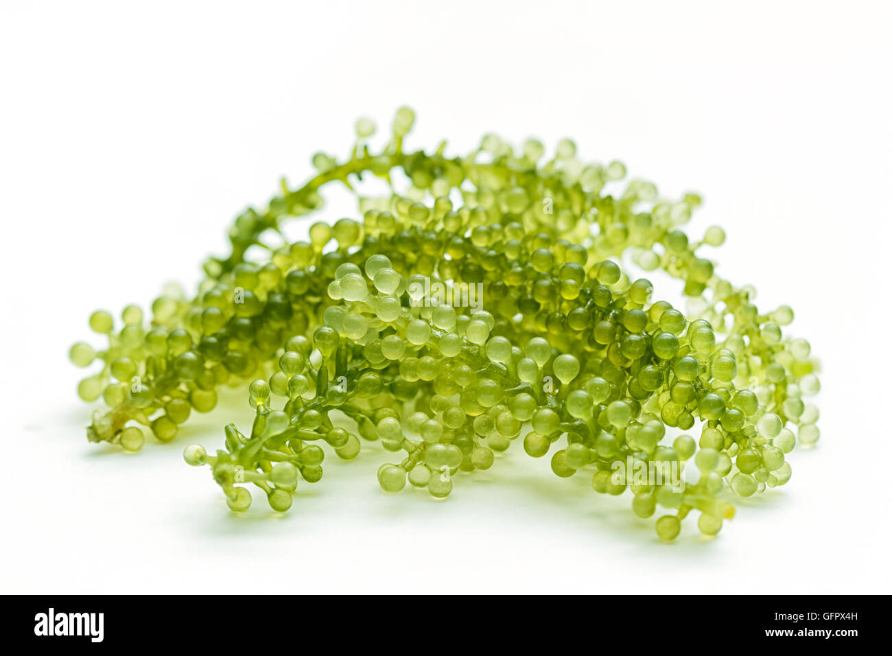 Vegan caviar Cut Out Stock Images & Pictures - Alamy